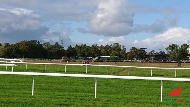 Calendrier des courses PMU, Courses PMU octobre 2026